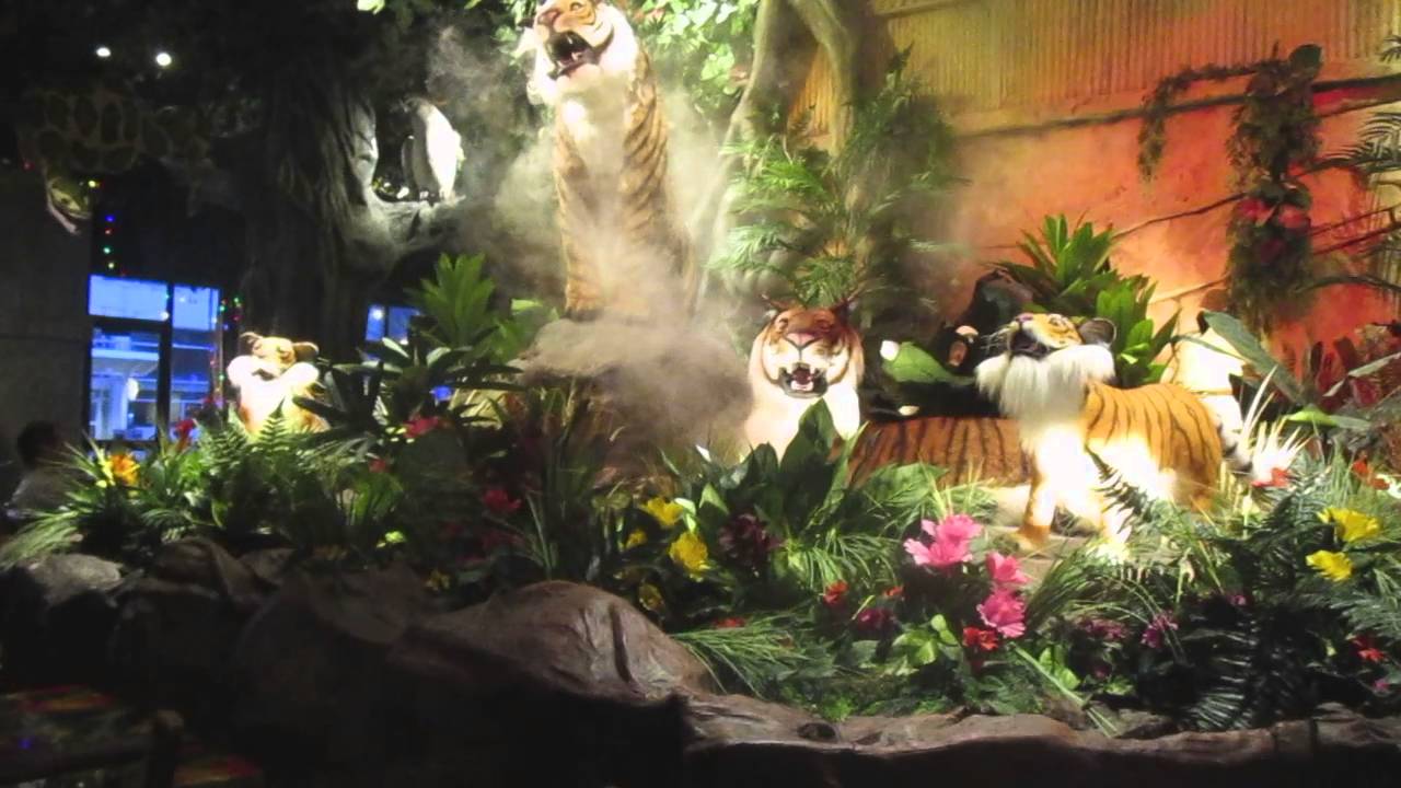 Rainforest Cafe Tigers - YouTube