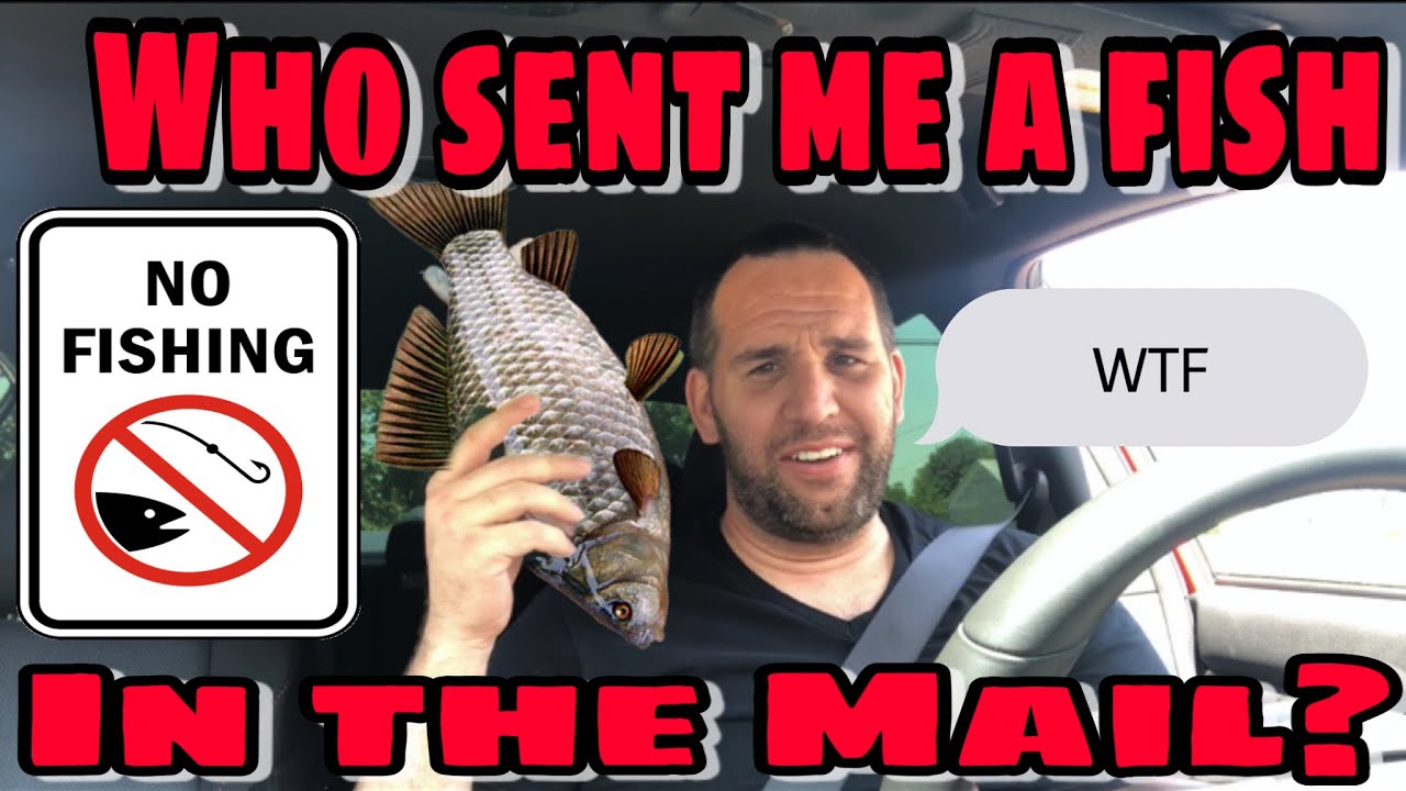Got A fish In The Mail. - MUST SEE! - YouTube