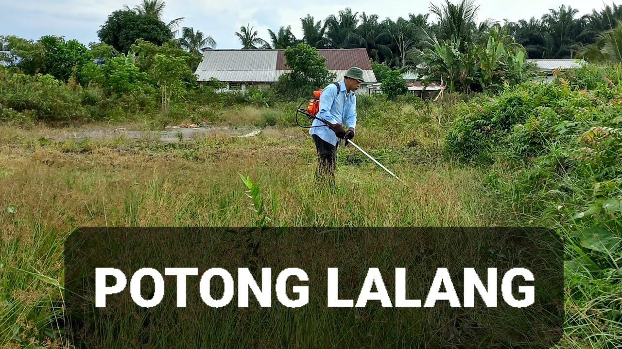 Projek Bina Rumah-Memotong rumput (dah jadi lalang) di tapak. - YouTube
