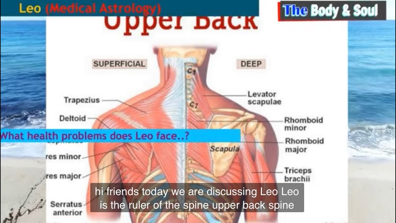 What health problems does Leo face..? - YouTube