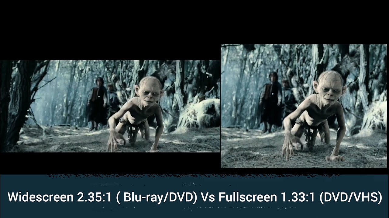 The Lord Of the Rings: The Two Towers widescreen vs full screen DVD ...
