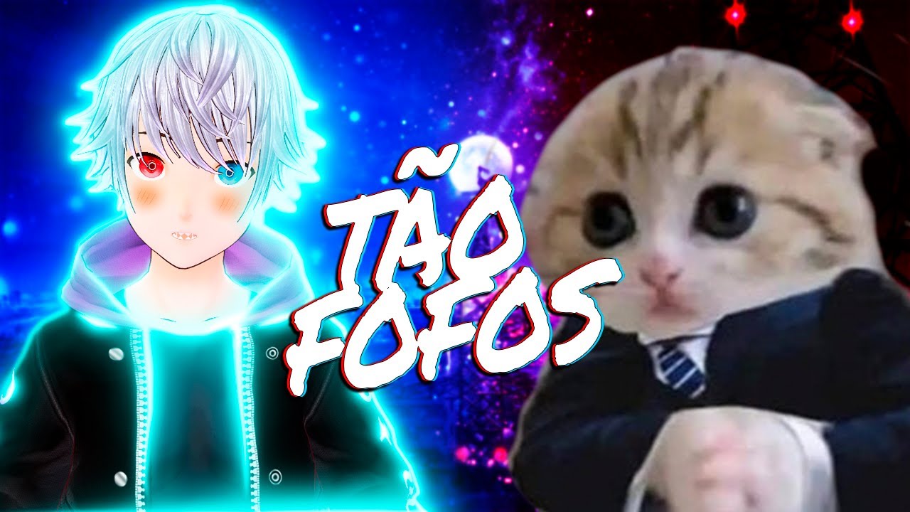 Reagindo a Vídeos de Gatinhos Fofos || SLA - YouTube