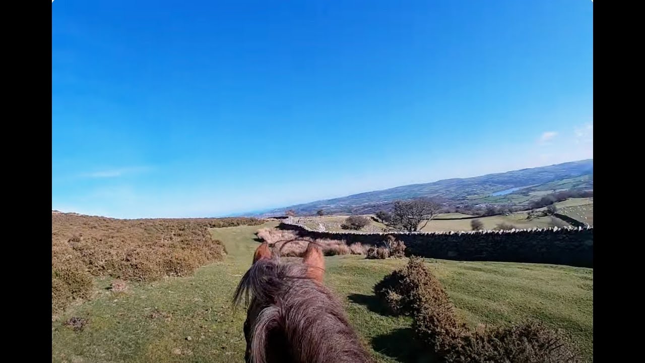 One of our fave canter tracks... - YouTube