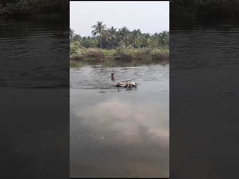 pudhupoogluam Manik basha mass waiting 2026 - YouTube