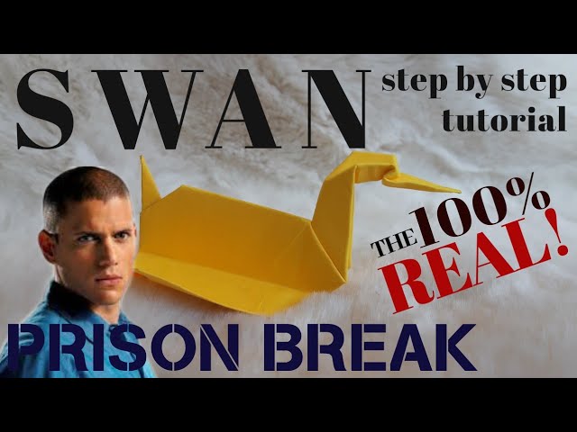 How To Make An Origami Swan Like In Prison Break How To Make A Paper