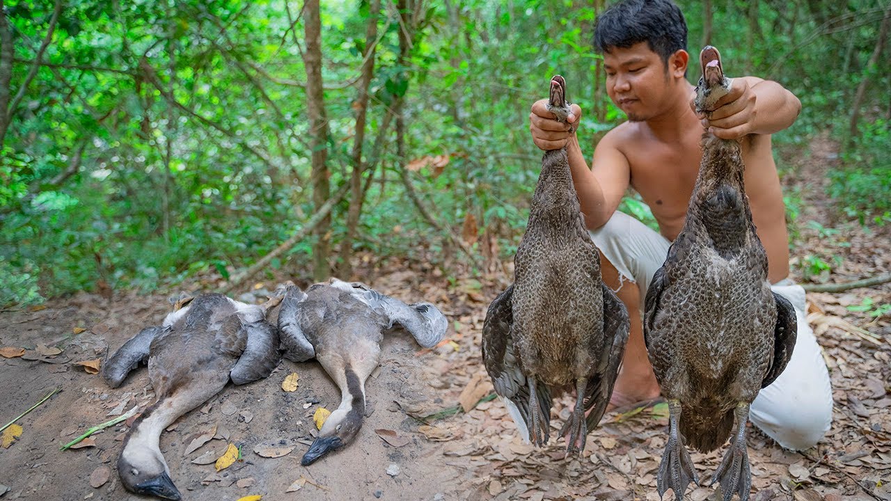 Found Wild Duck then Catch to Cooking in Forest - YouTube