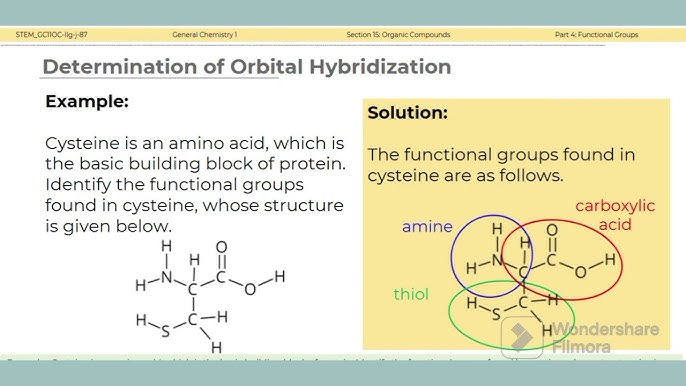 Examples Of Common Functional Groups In Organic Chemistry 10.6: