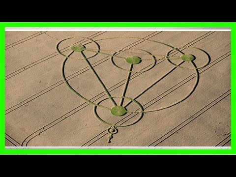 Crop circles: they're real and contain hidden messages, scientist says ...
