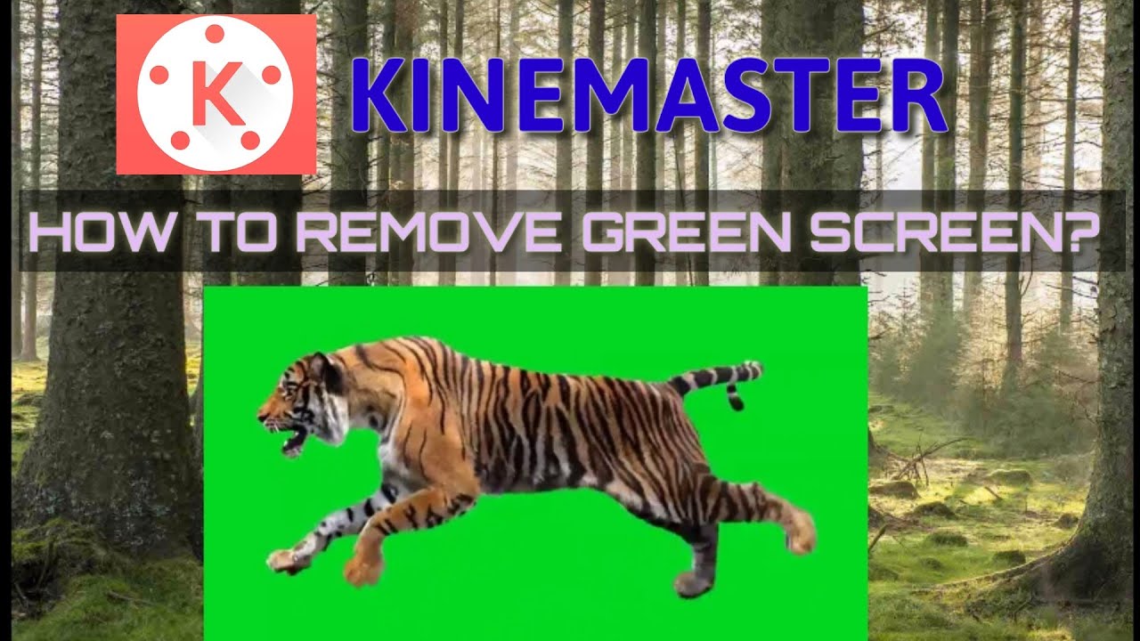 HOW TO REMOVE GREEN SCREEN USING KINEMASTER YouTube how-to-remove-green-screen-using-kinemaster-youtube