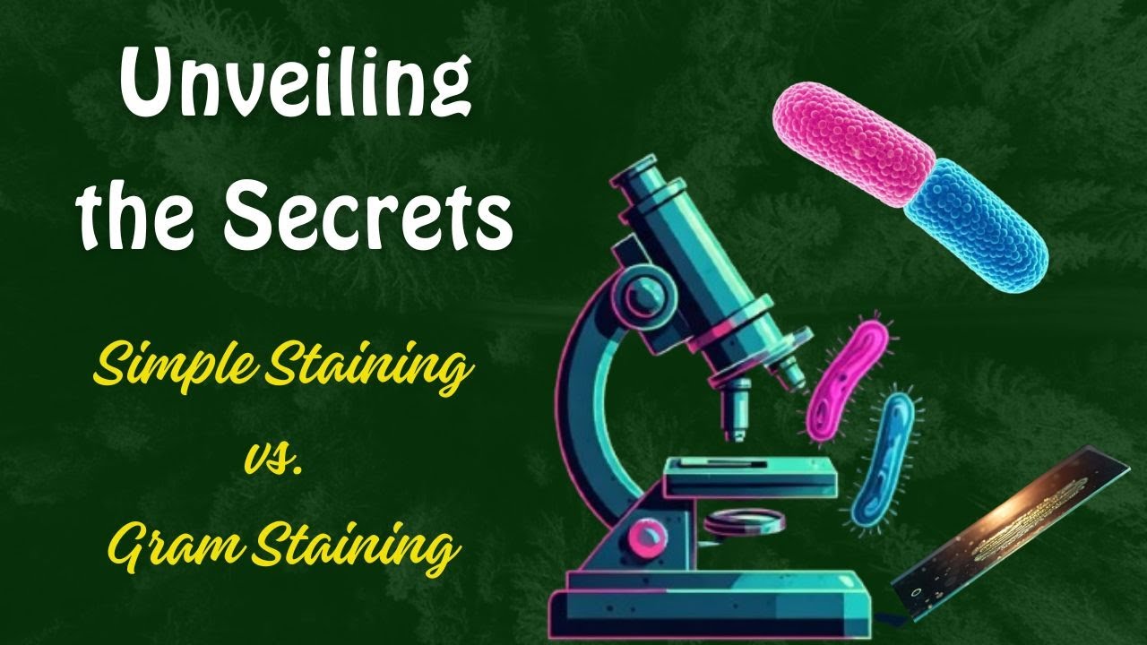 Simple Staining vs. Gram Staining: Unveiling the Secrets of Bacterial ...