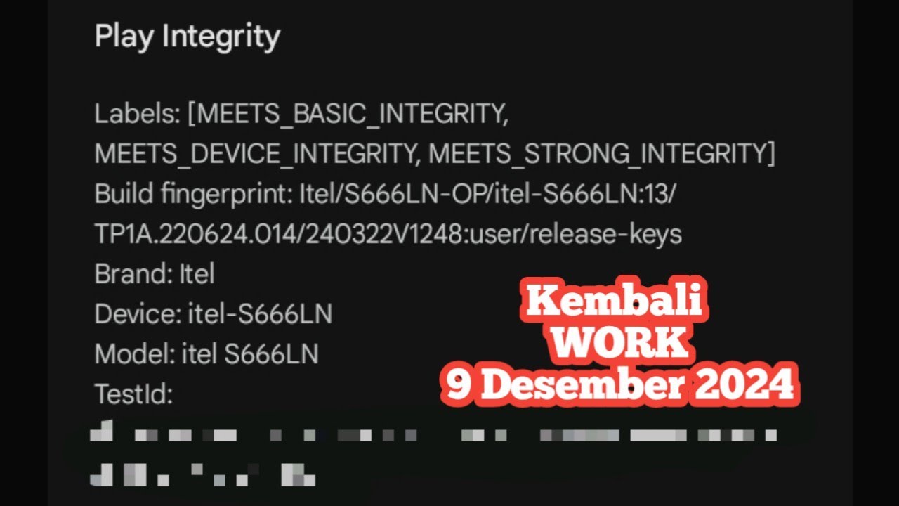 UPDATE Tutorial Meet Strong Integrity pada Play Integrity di Handphone ...