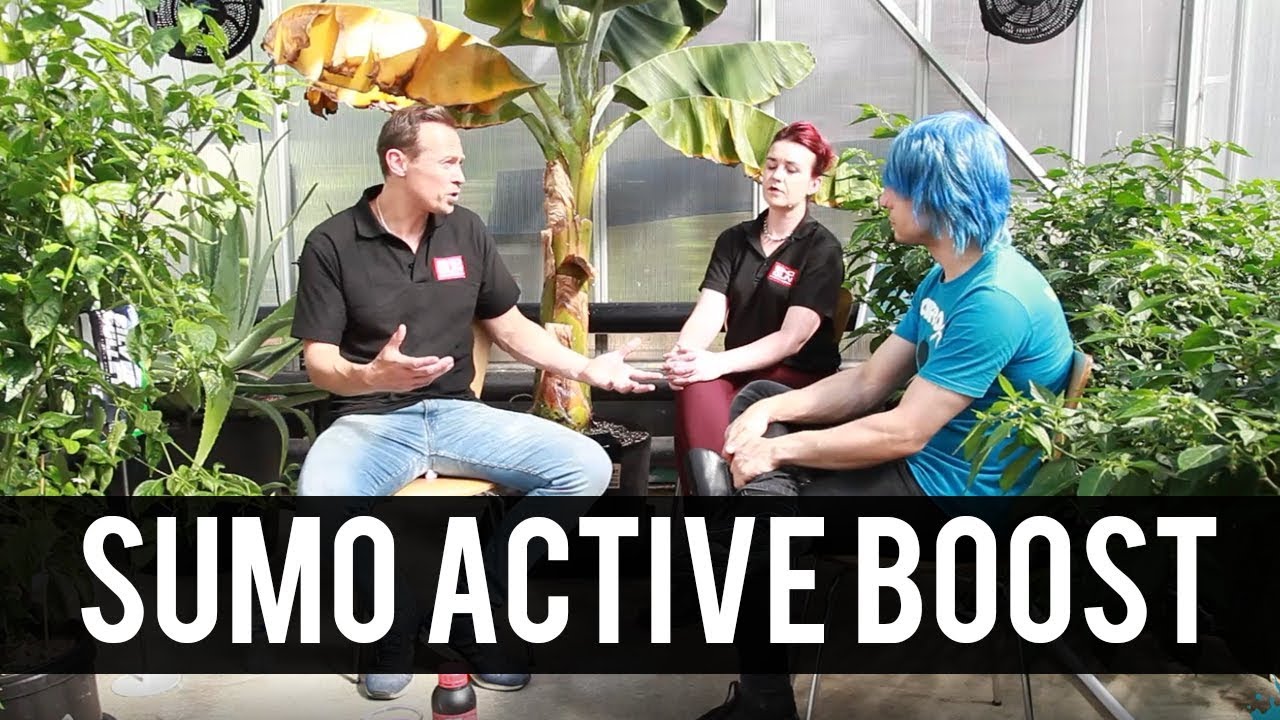 One Stop Road Trip: Introducing Sumo Active Boost - YouTube