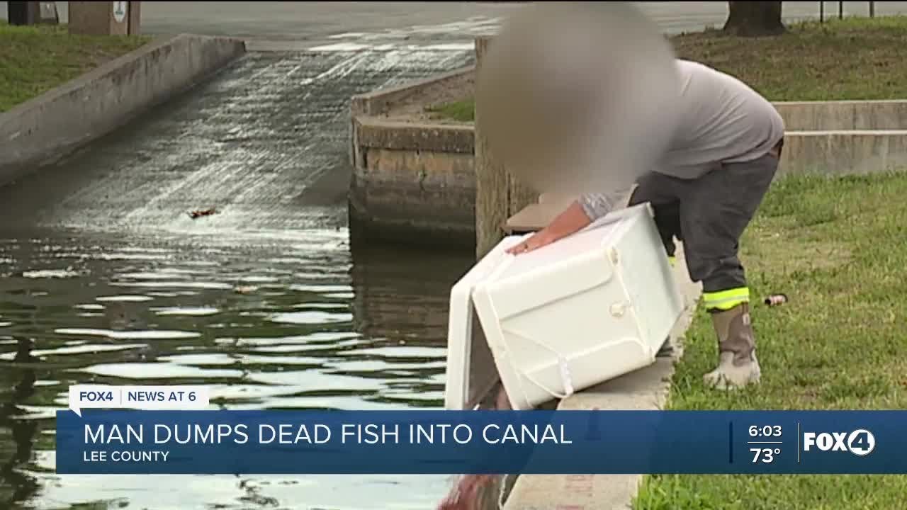 Fox 4 catches guy dumping dead fish into a neighborhood canal, but is ...