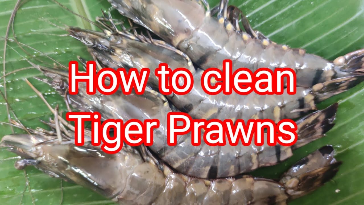 How To Cut and Clean Tiger Prawns - YouTube