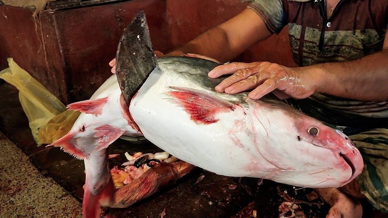 Incredible Giant Pangas Fish Cutting Skills In Bangladesh Local Fish Market By Expert Fish ...