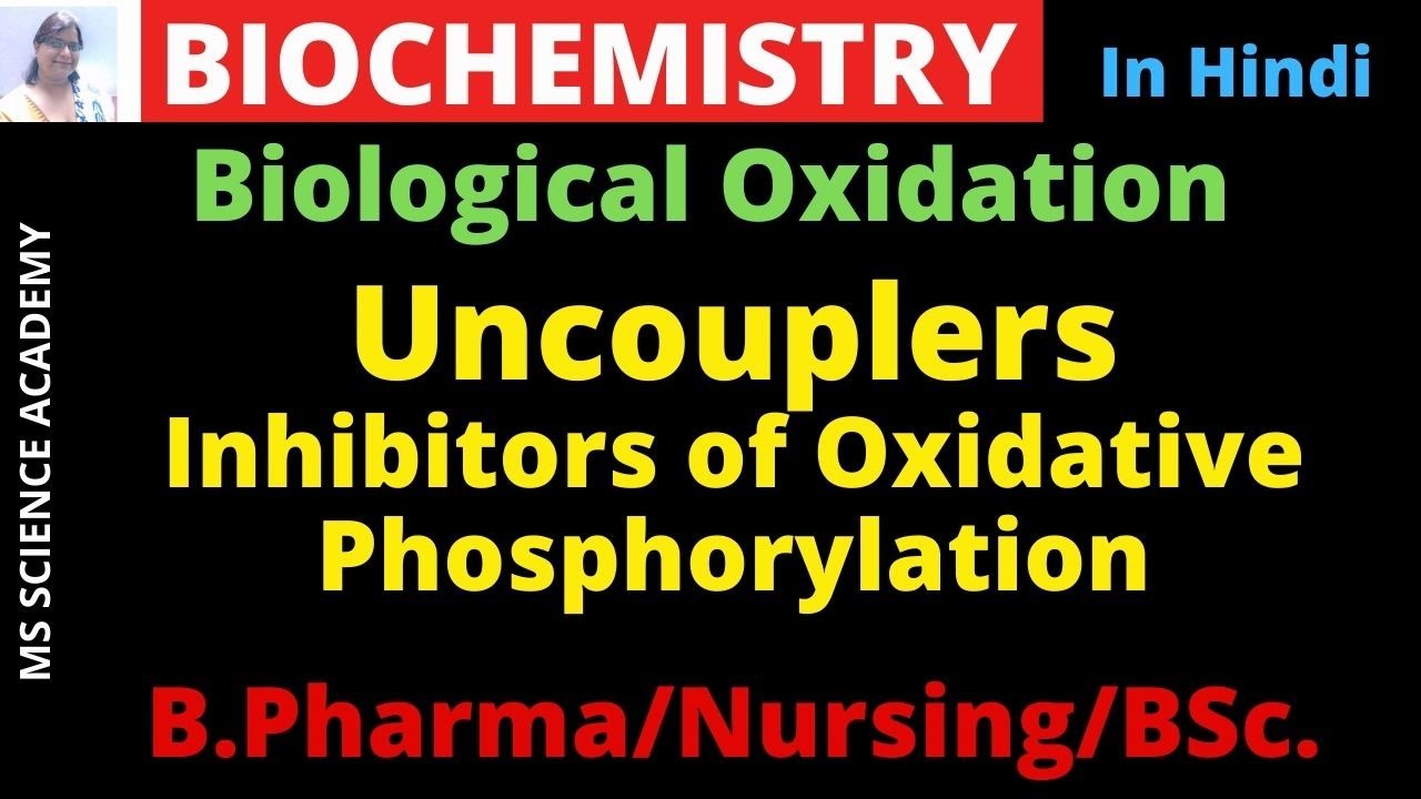 Uncouplers and Inhibitors of Oxidative Phosphorylation - YouTube