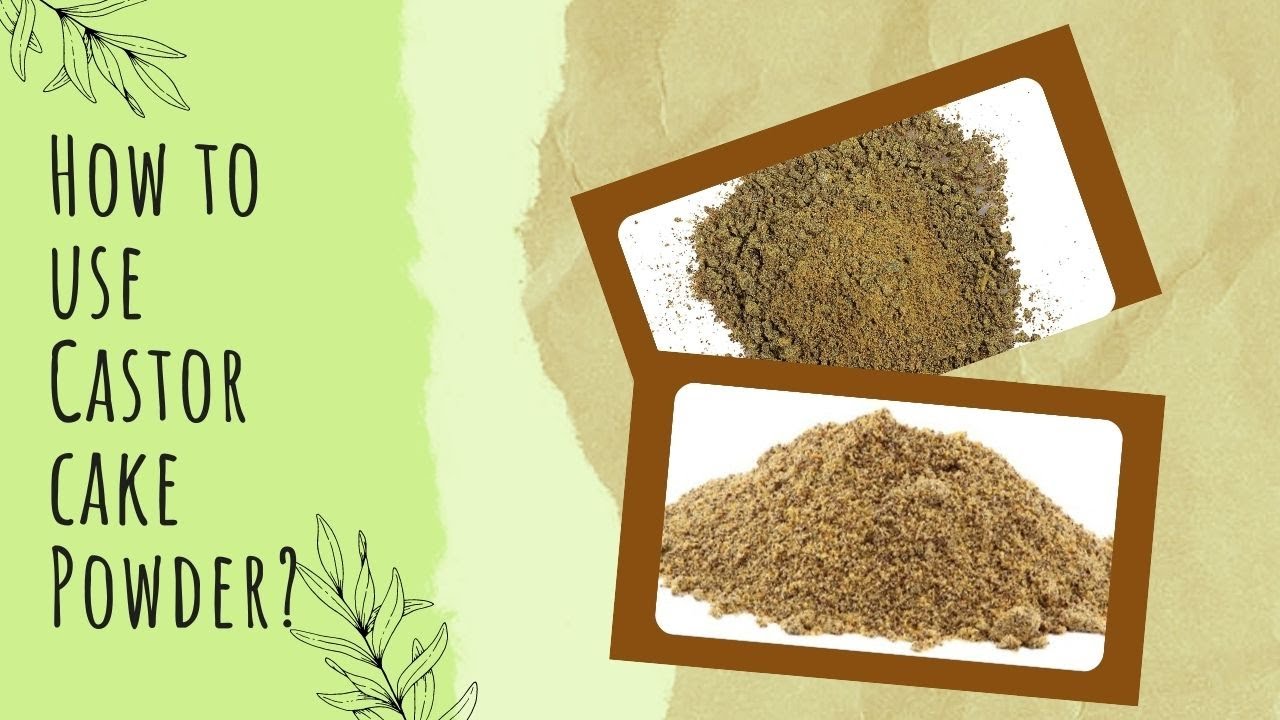 Castor Cake Fertilizer | Castor Oil Cake for Plants | Castor Oil Cake ...