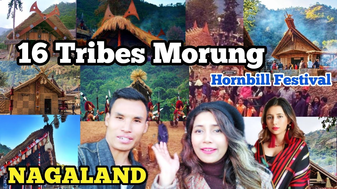 Ep-3 Hornbill Festival Kisama | Which Morung is the Best? Out 16 Naga ...