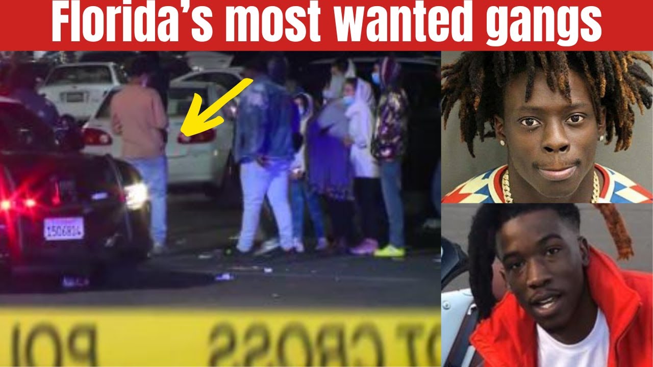 Florida’s most wanted gangs: 9lokknine’s AFNF The Army Vs Hotboii’s 438 ...