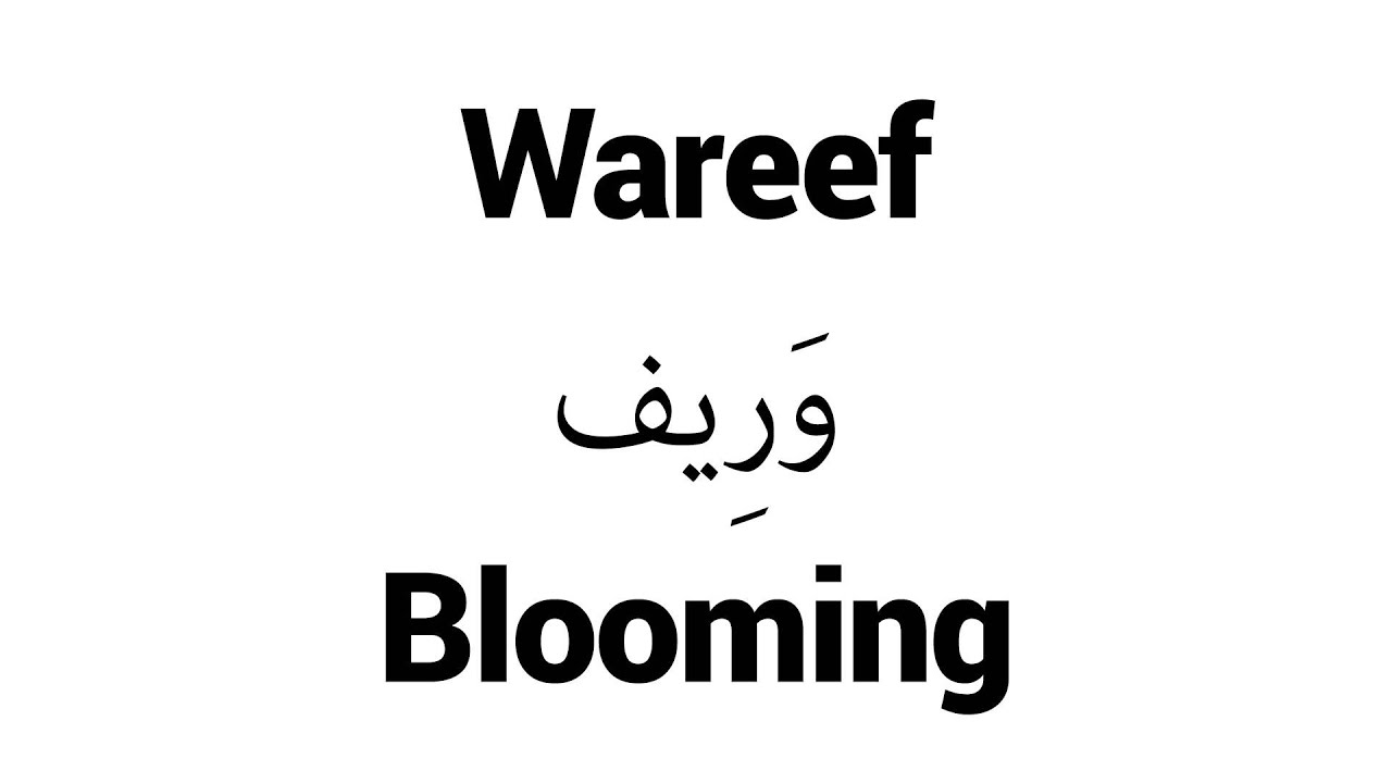 How to Pronounce Wareef! - Middle Eastern Names - YouTube