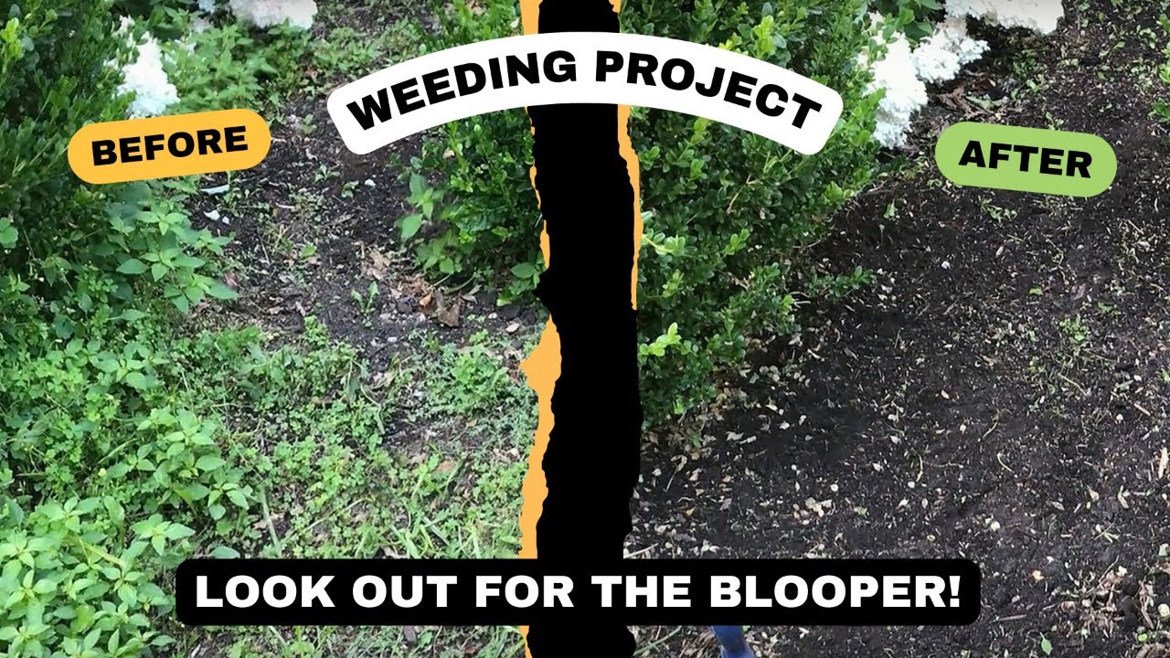 Lawn Care | Weeding My Garden Using The 1-Step Method: Just Pull 'em ...
