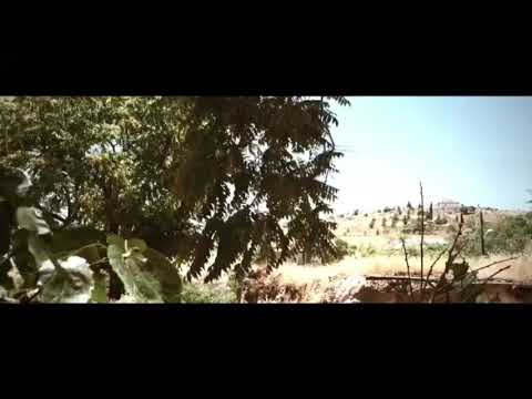 Ters Düz (enstrümantal) #klip #ferhatkaraca #tersdüz