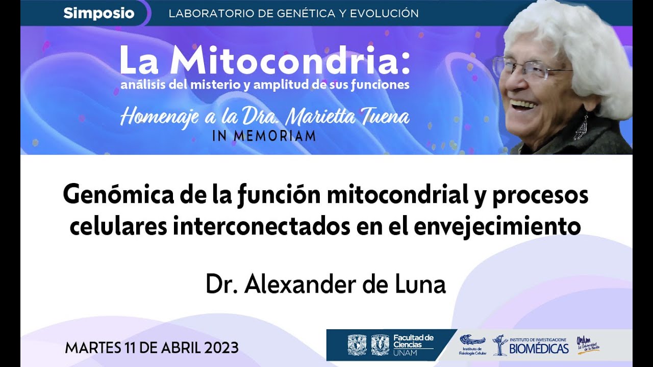Genómica de la función mitocondrial y procesos celulares ...