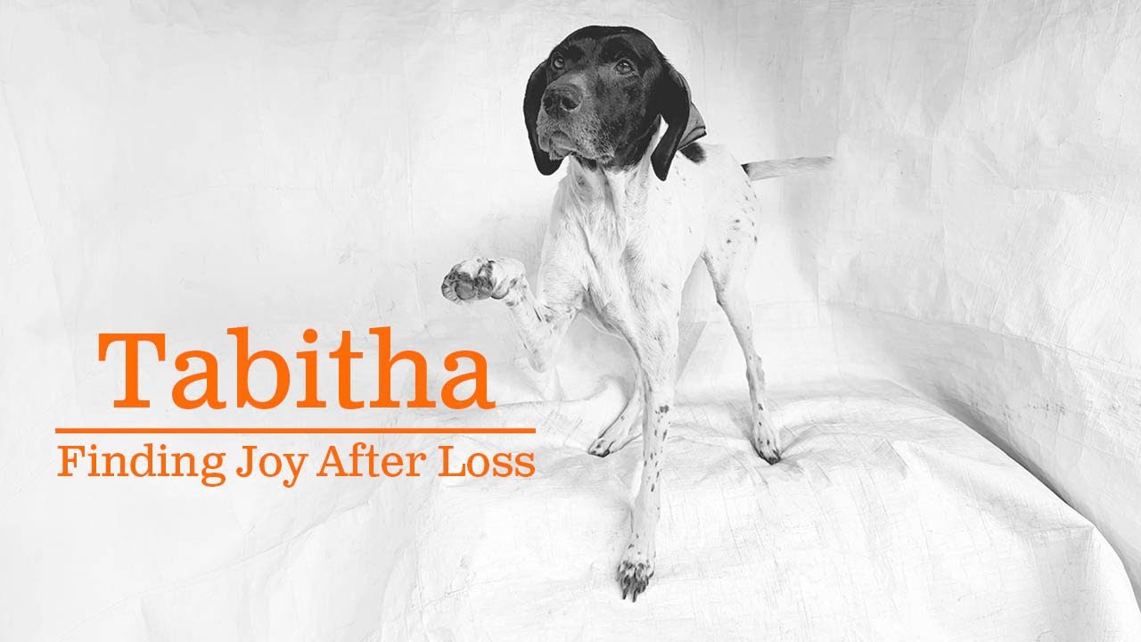 Watch Tabitha's Journey: Finding Joy After Losing Her Owner - YouTube