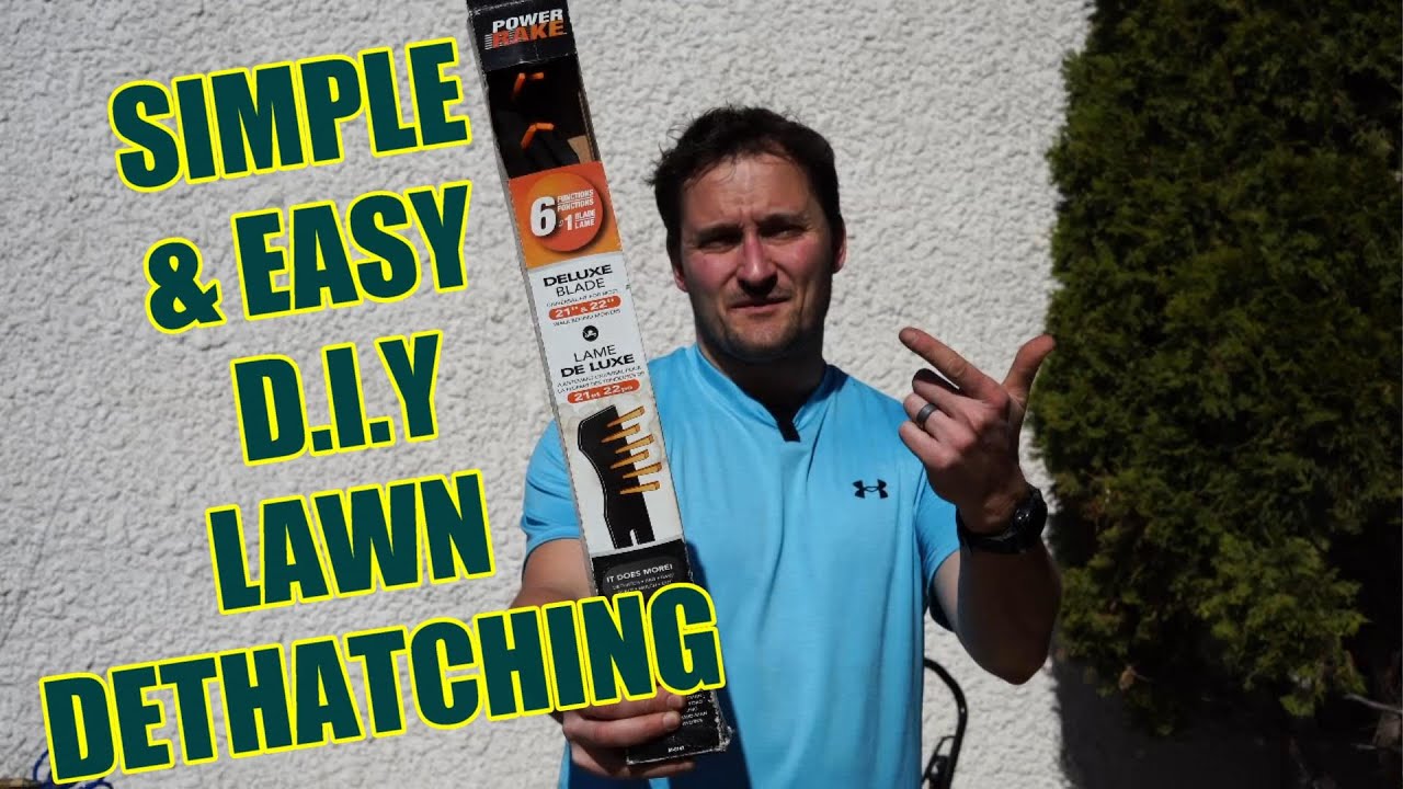 How to Dethatch Your Lawn the Quick, Easy & CHEAP Way! - YouTube