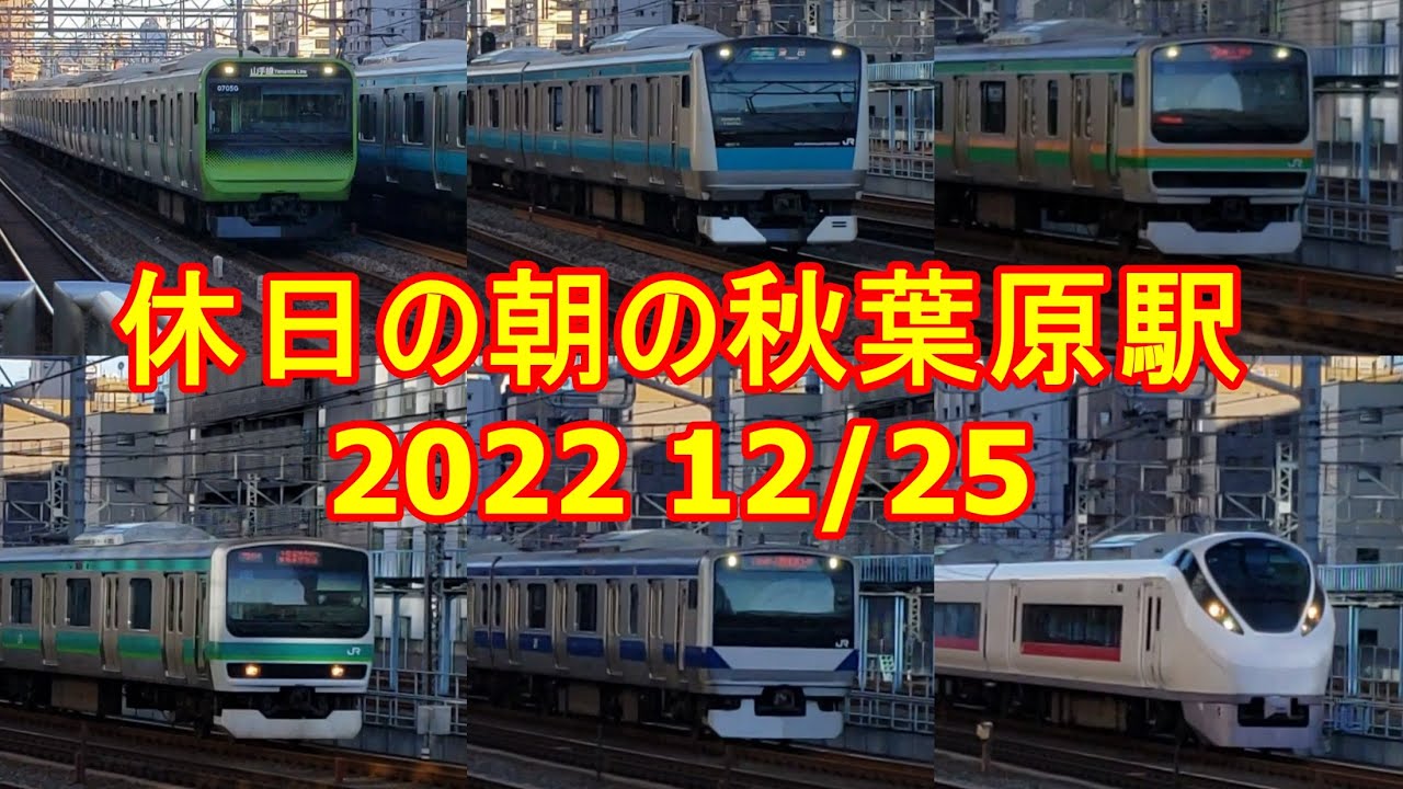 休日の朝の秋葉原駅(E231系・E233系・E235系・E531系・E657系) - YouTube