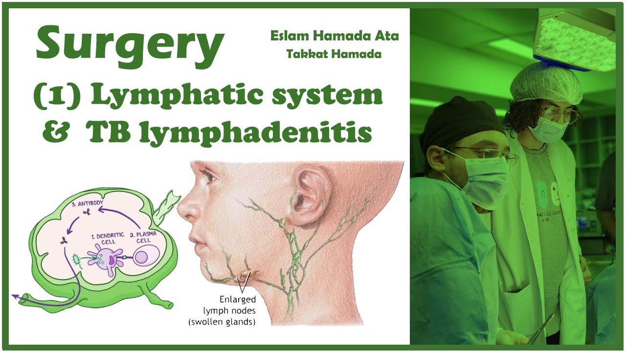 (1) Surgery | Lymphatic system - Lymph nodes level and physiology - TB ...