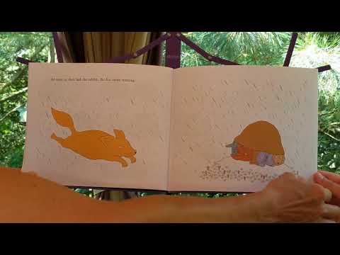Children's Nature Story Time: Mushroom in the Rain - YouTube