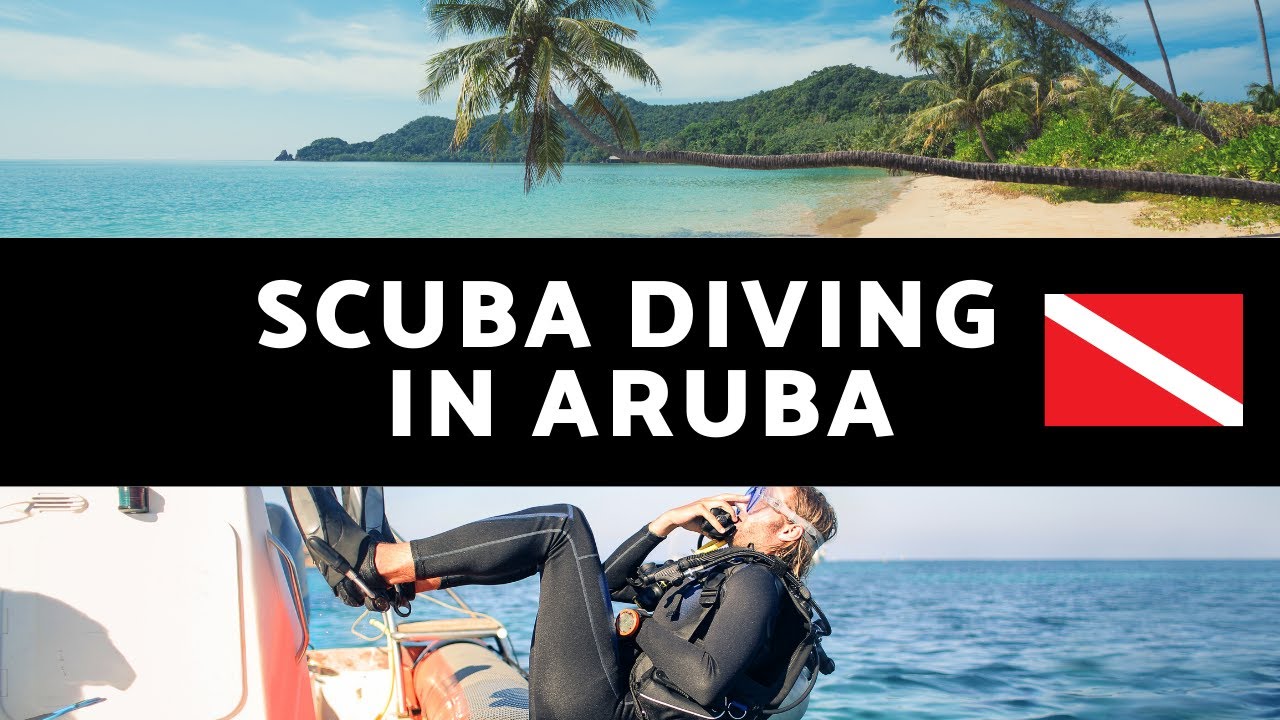 Scuba Diving in Aruba - The Top Ten Dive Spots - YouTube
