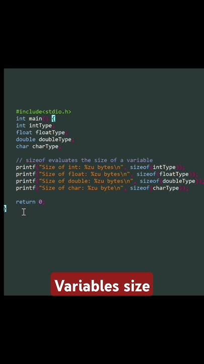 Program To Find The Size Of Variables Shorts Short Shortfeed Shortvideo Viralshorts
