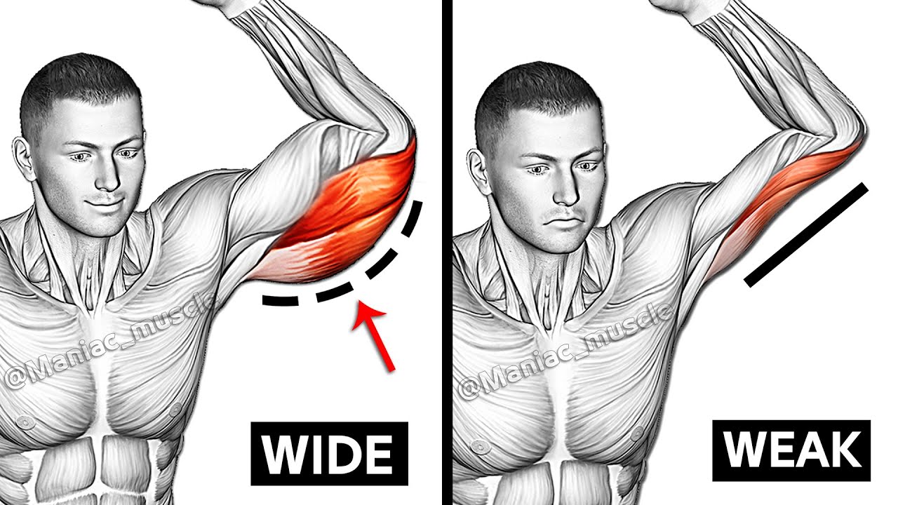 7 PERFECT EXERCISES TRICEPS WORKOUT 🎯 - YouTube