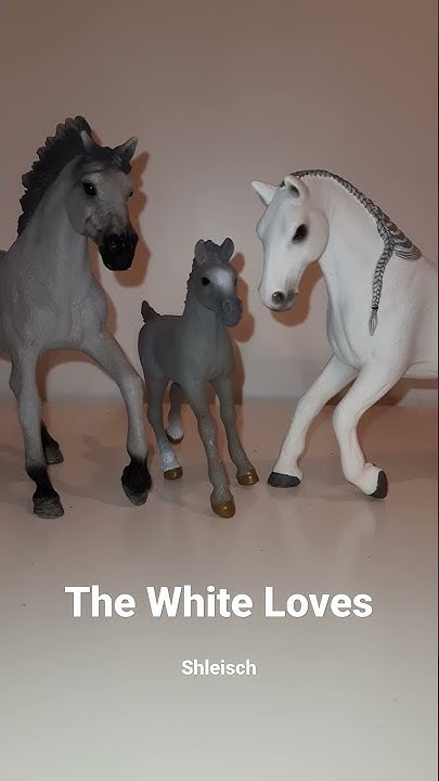 Siwe konie schleish - YouTube