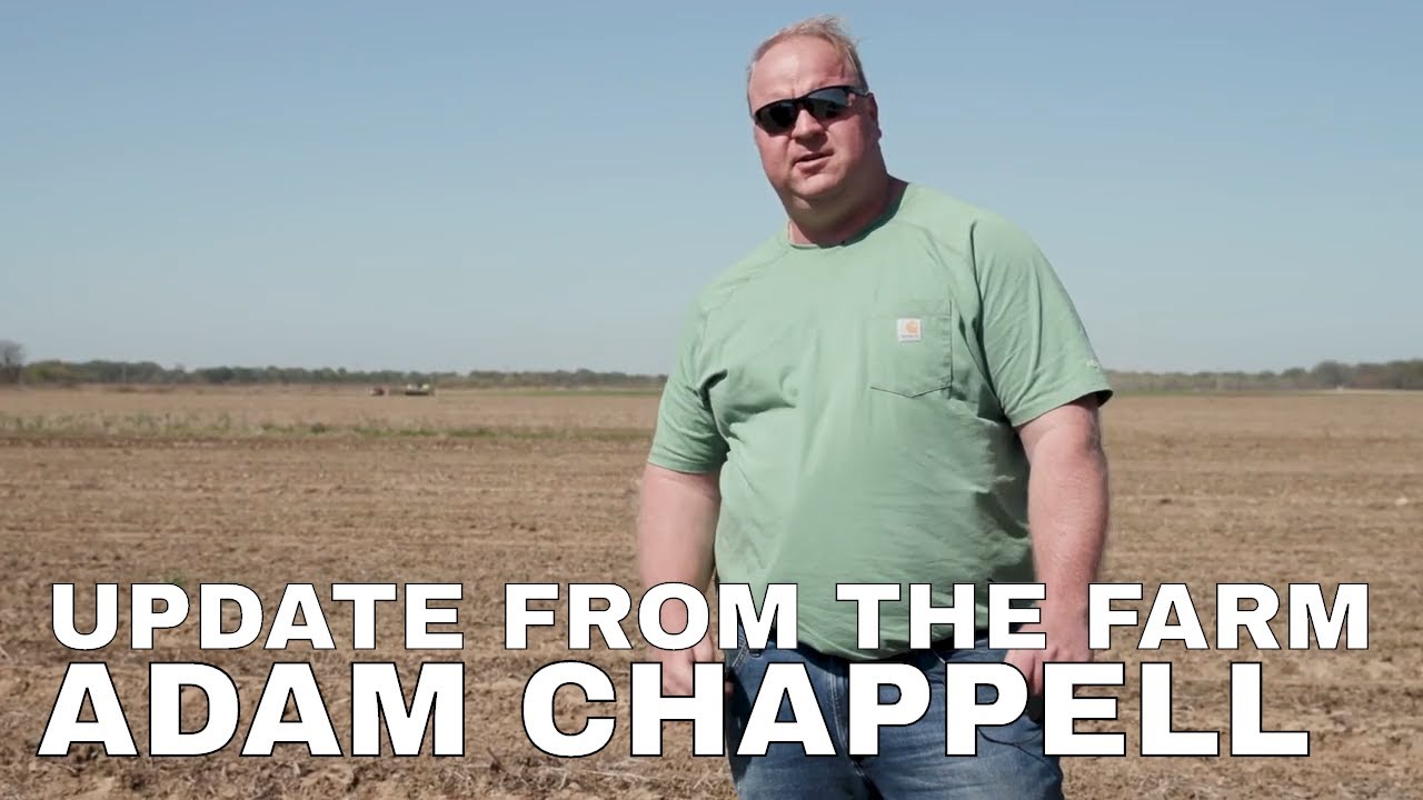 Update From The Farm | Adam Chappell, Woodruff County - YouTube