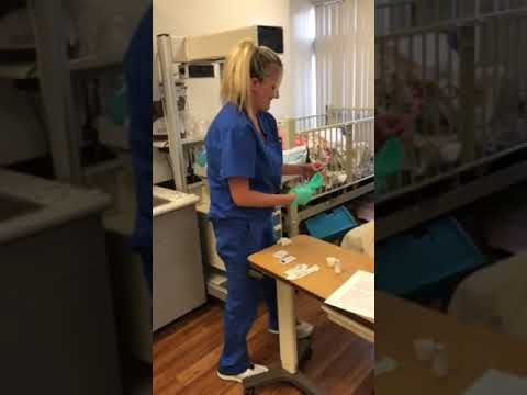 Rectal and IM injections - YouTube