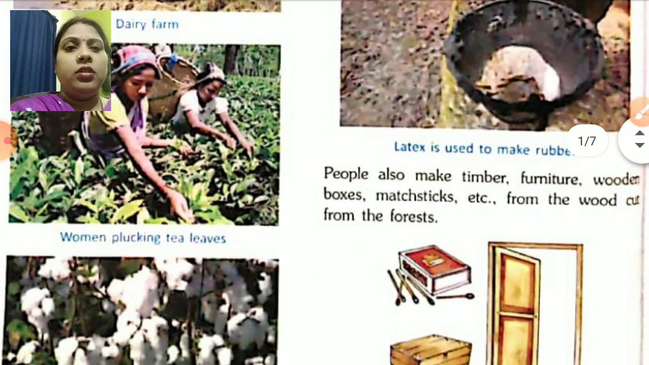 Farming Related Occupations|| Occupation|| Ch-10|| Social studies ...