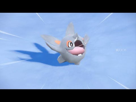 Shiny Showcase: Shiny Cetoddle - YouTube