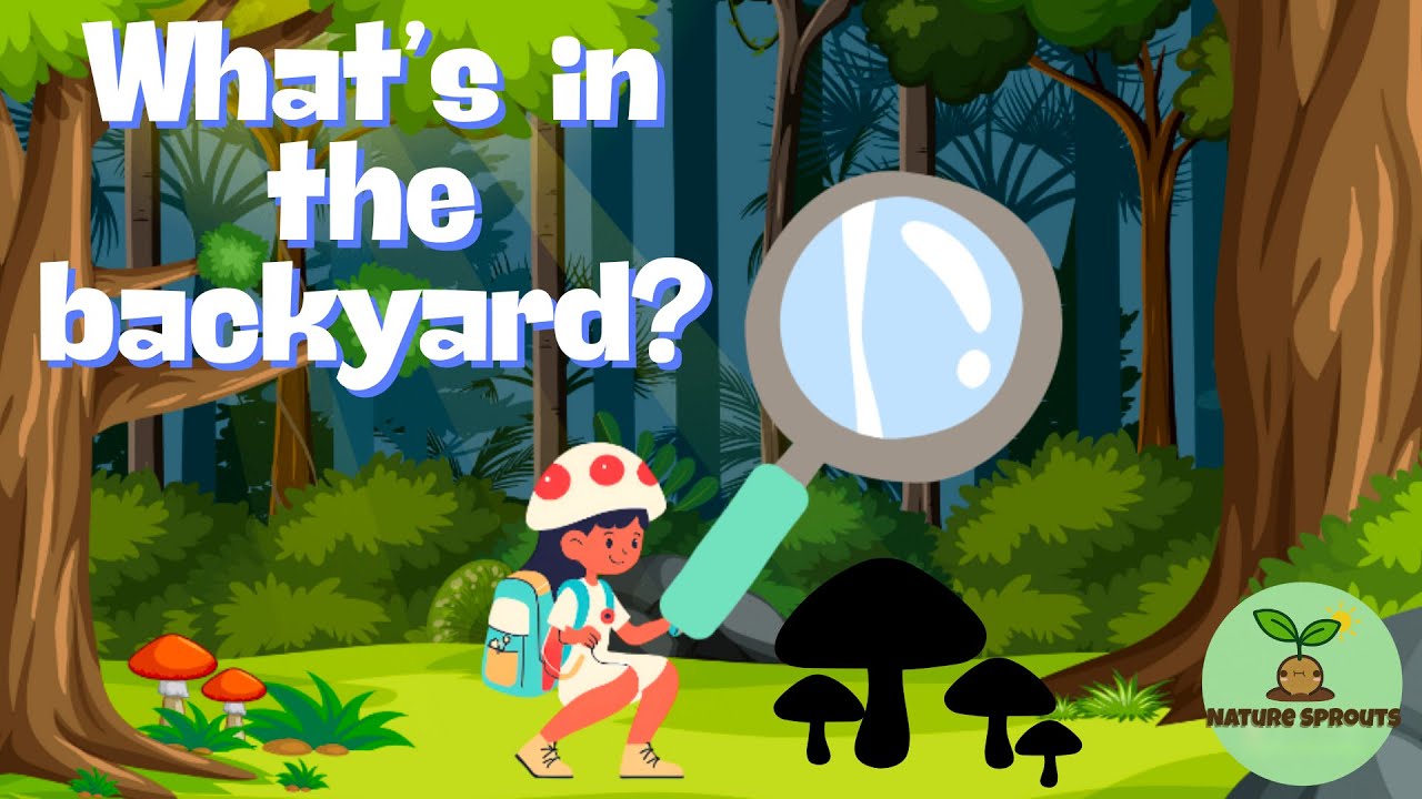 Discover Common Mushrooms for Kids | Nature Sprouts Educational Video ...