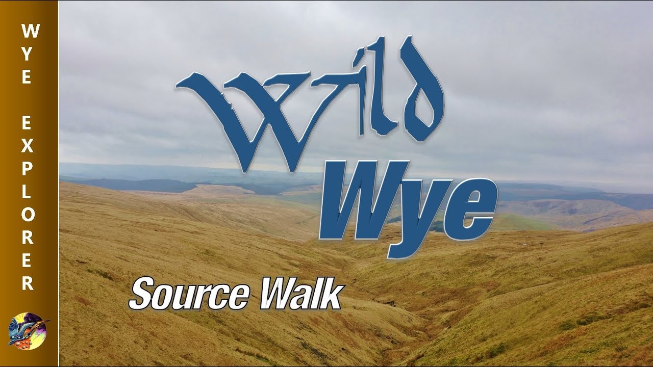 Wild Wye Source Walk - Eiesteddfa Gurig Plynlimon Mountain Wales - YouTube