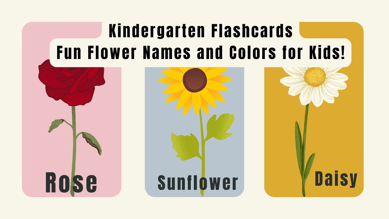 Kindergarten Flashcards | Fun Flower Names and Colors for Kids! - YouTube