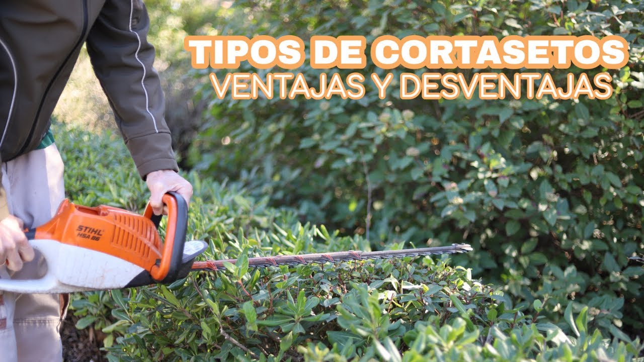 ¿Cómo ELEGIR un CORTASETOS? 👉 TIPOS de cortasetos VENTAJAS y ...
