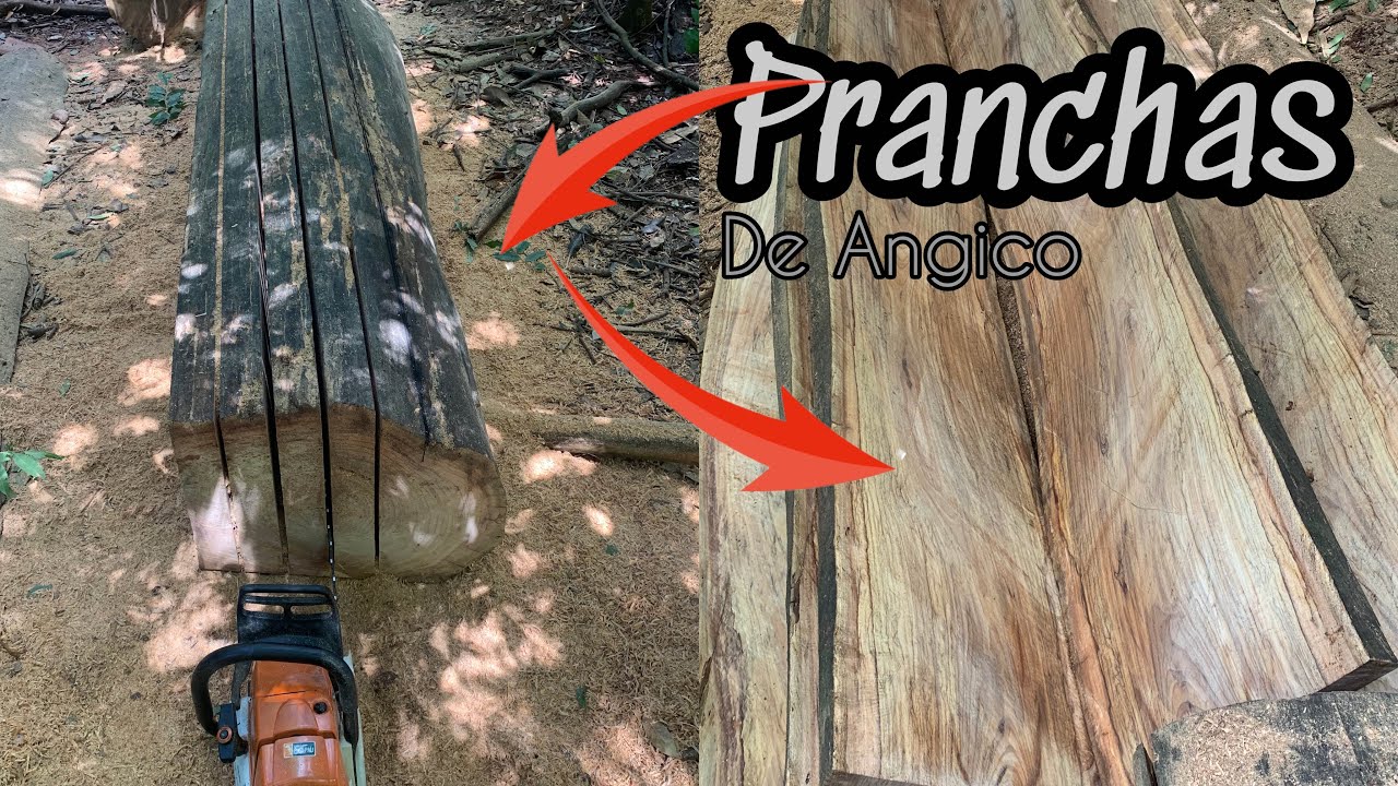 Partindo PRANCHAS de Angico Preto #motosserra #stihlms381 - YouTube
