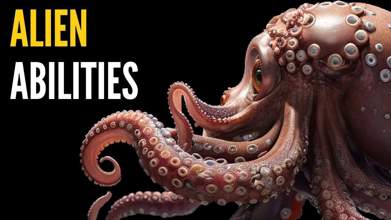 Extreme Abilities Of The Octopus - YouTube