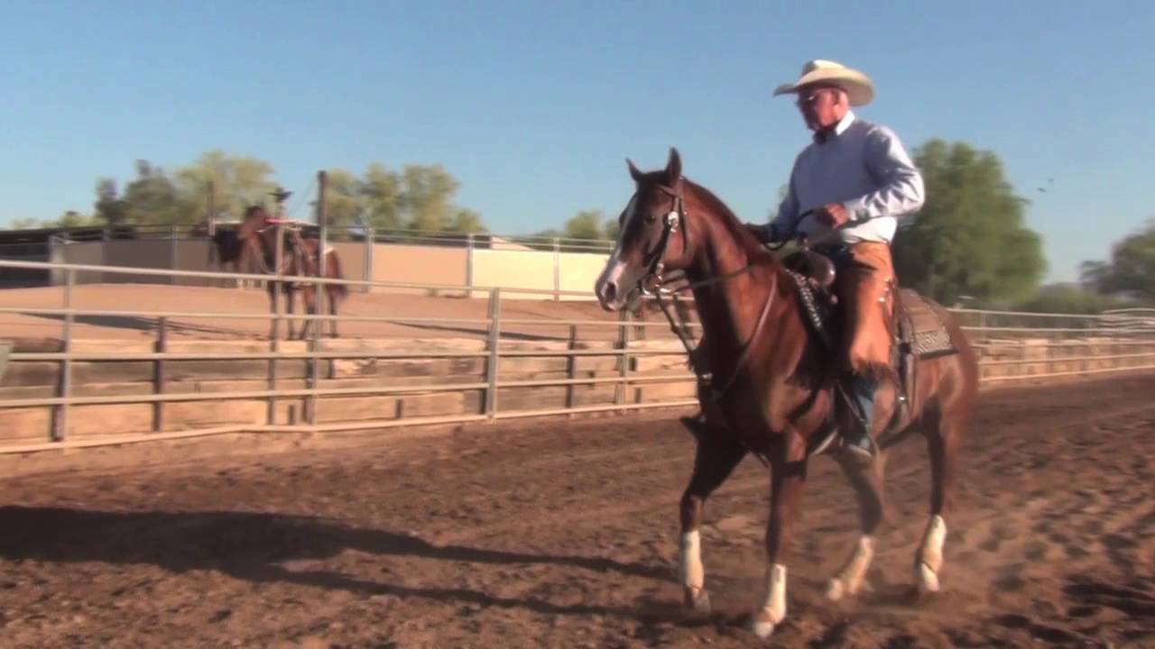 CowTrac Mechanical Cow Tips (Part 3) - YouTube