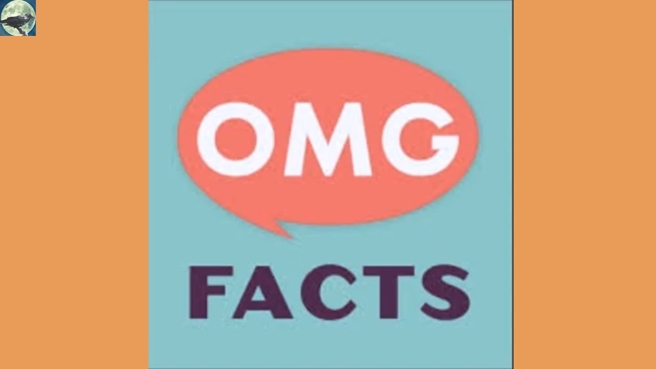 OMG FACTS #themidnightraven - YouTube