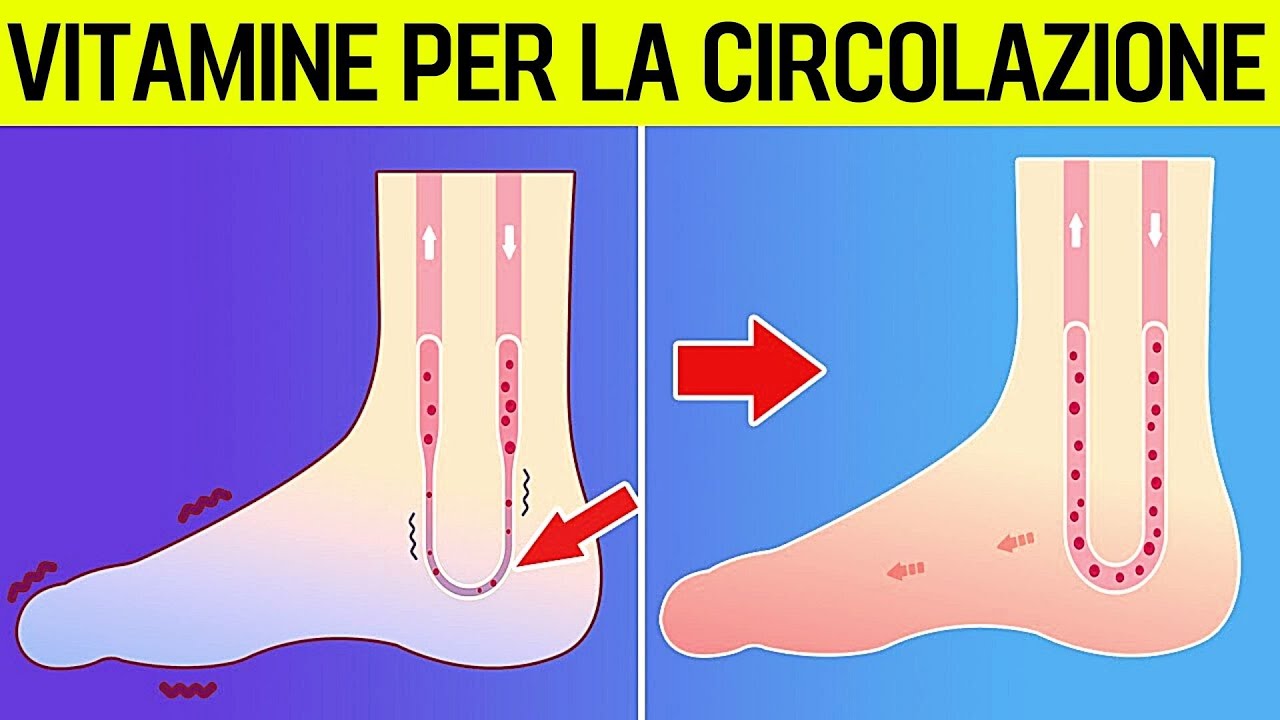Le 7 MIGLIORI vitamine per AUMENTARE la CIRCOLAZIONE delle GAMBE e nei ...