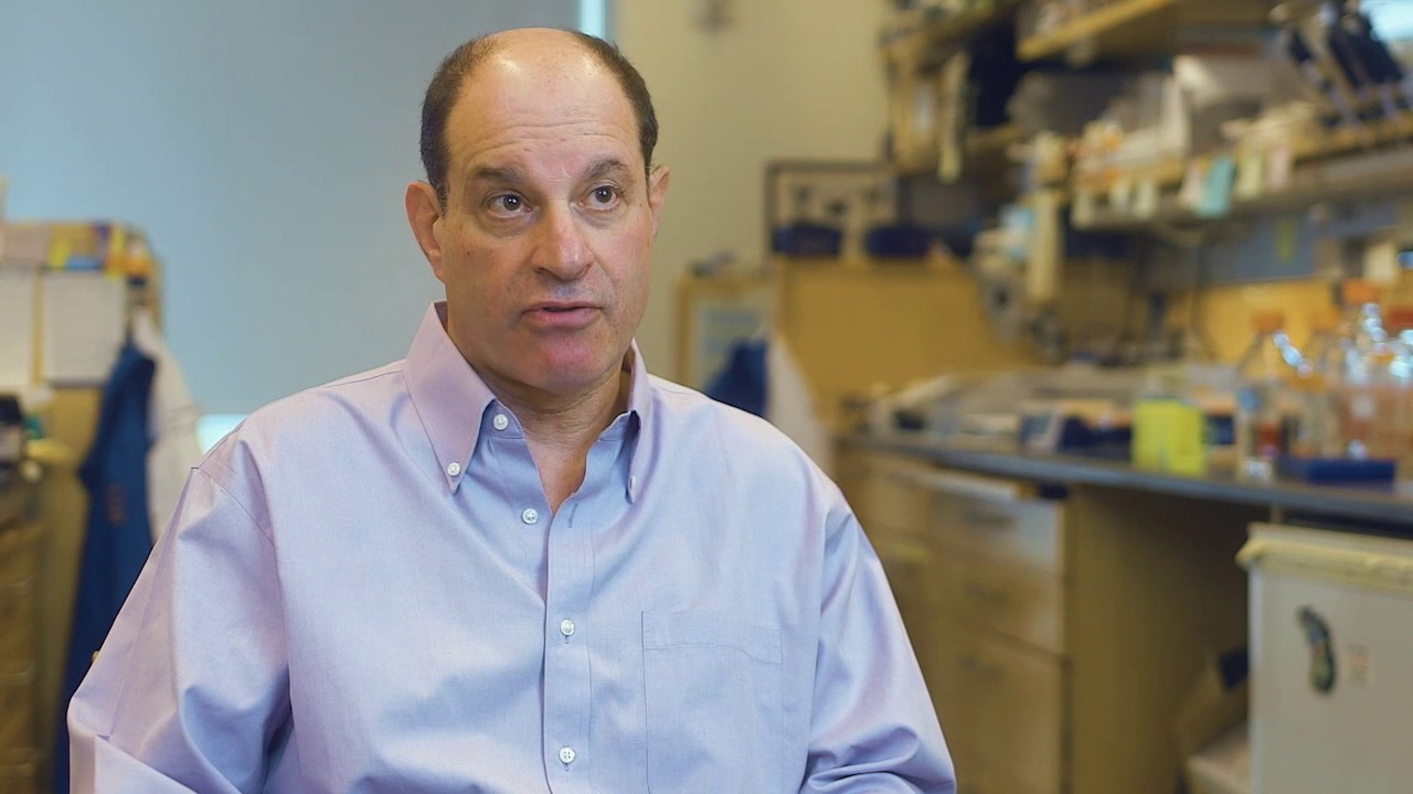 David Julius- 2017 Canada Gairdner International Award - YouTube